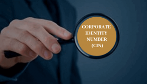 Corporate Identity Number (CIN) and It's Structure AKT Associates